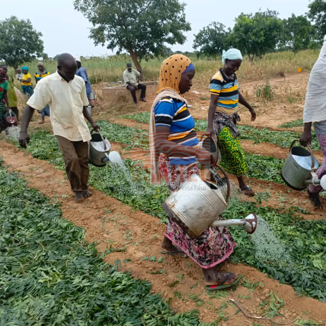 Projet PRESI-OKDD - SOS Sahel International Burkina